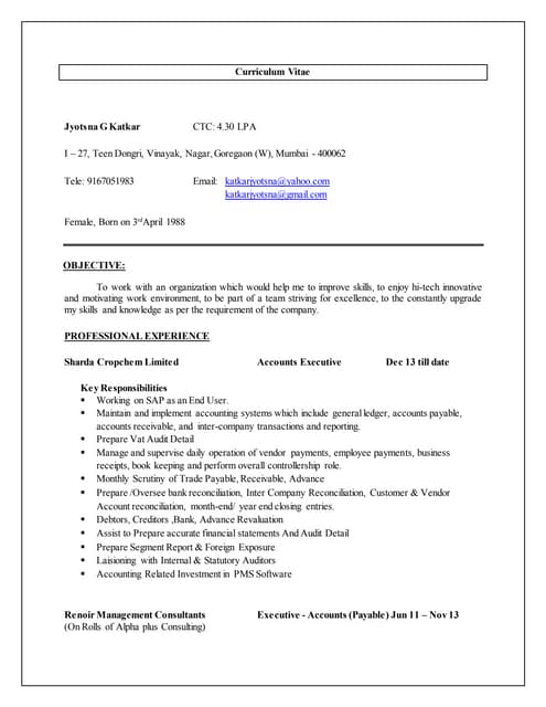CV FOR FINANCE EXECUTIVE (2) | PDF