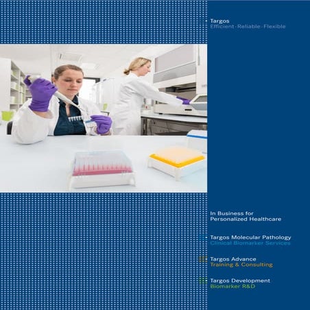 Targos_Company_Brochure_lowres | PDF