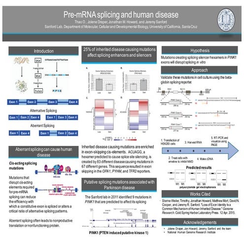 Pre-mRNA splicing and human disease | PDF | Genetics | Science
