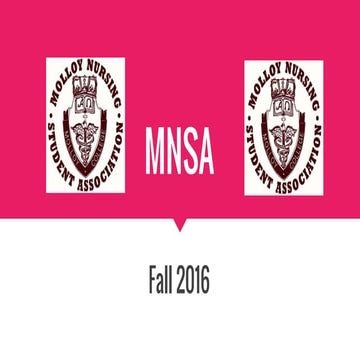 MNSA End of Semester Report Dec 2016 | PPT