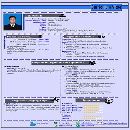 CV(Indra Julianus Sihombing) | PDF
