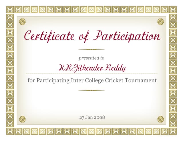 Cricket Participation Certificate