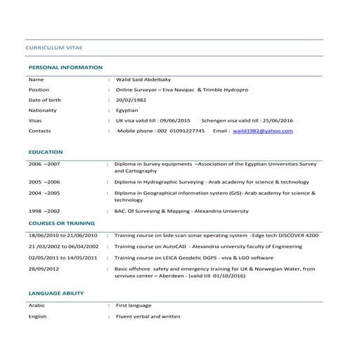 C.V - Walid Abdelbaky | PDF