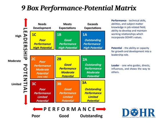 9 box matrix | PDF | Career Planning | Careers