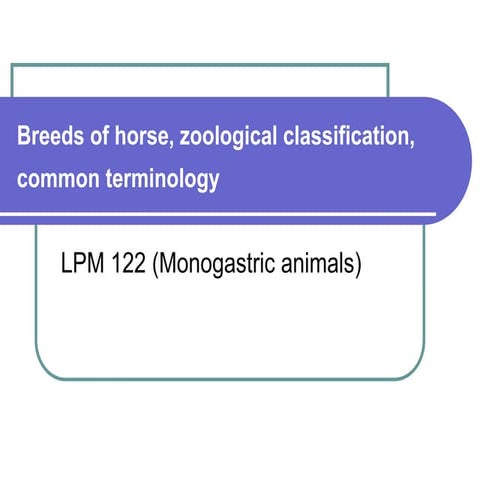9_Breeds_of_horse,_zoological_classification,_common_terminology.pptx