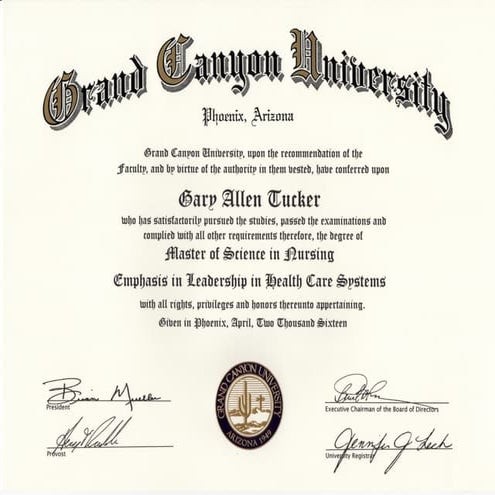 Master of Science - MSN | PDF