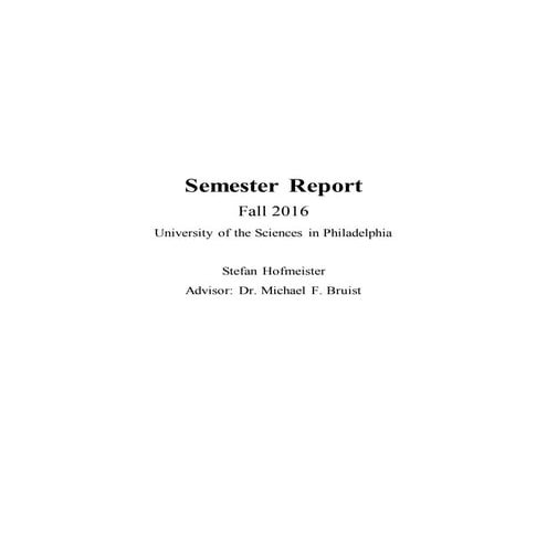 Semester Report | PDF