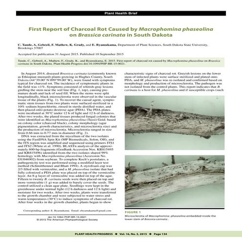 First Report of Charcoal Rot Caused by Macrophomina phaseolina on ...