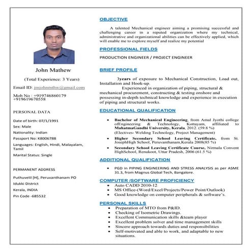 CV John Mathew | PDF