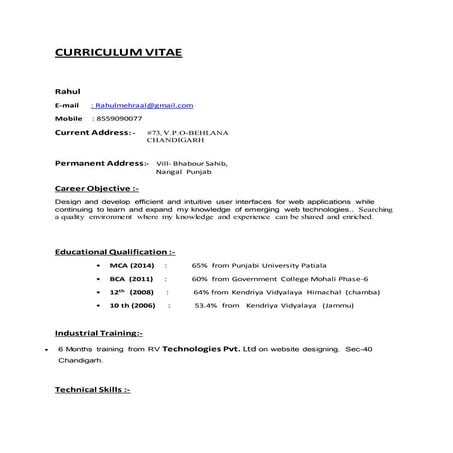 My CV Formet | DOCX