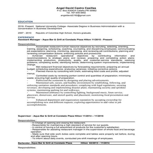 ANGEL DAVID RESUME | PDF | Business Administration | Business