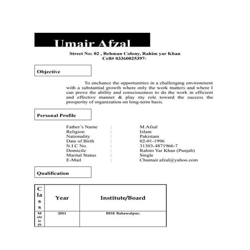 umair cv | DOC
