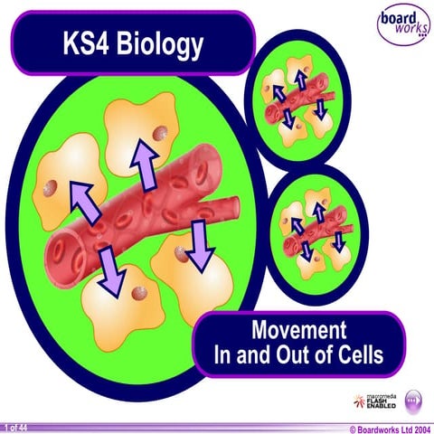 9C_Chapter 3_Movement into and out of cells.pdf