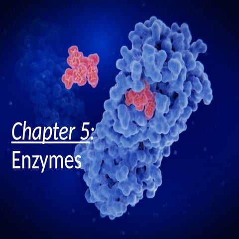 9C_Chapter 5_How do enzymes work, factors affecting enzymes | PPTX