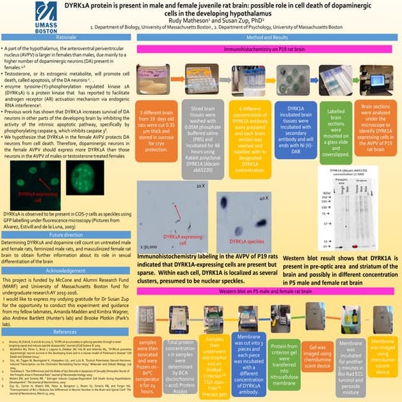 poster for Bio dept UMB 36x40 rev 5 | PPT