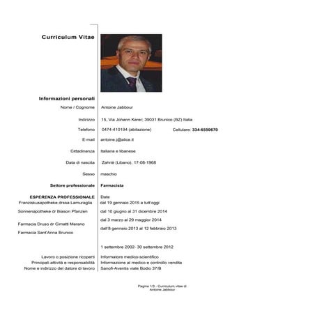 CURRICULUM ANTOINE LINKEDIN | PDF