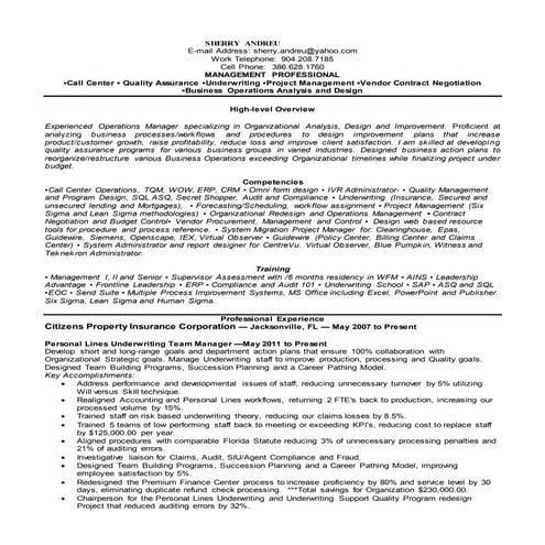 Resume of Sherry Andreu | DOCX