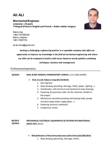HENDRIK WILLEM STAPELBERG cv.01_07 PM,june 16 | DOCX | Civil ...