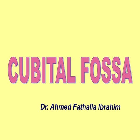 9 Cubital fossa.ppt