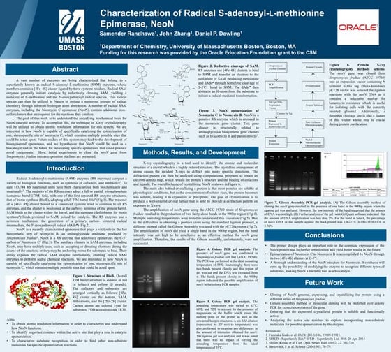 Opportunities for probing the structure and mechanism of porphobilinogen synthase by raman ...