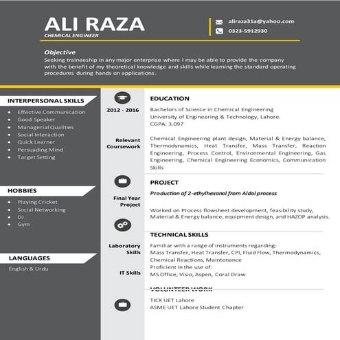 Ali Raza's CV | DOCX