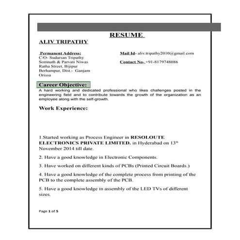 Aliv New Resume | RTF