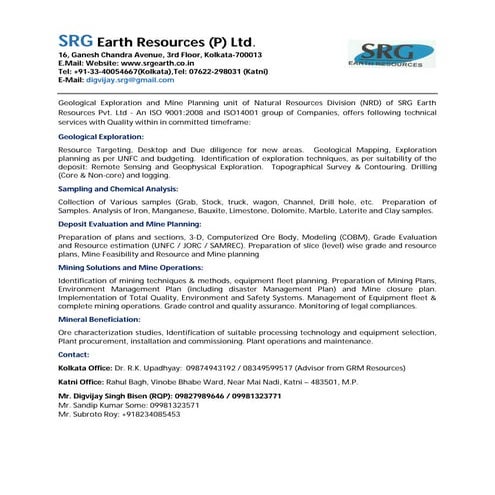 SRG-Consultancy Services | PDF