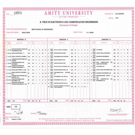 Amity University Transcripts | PDF