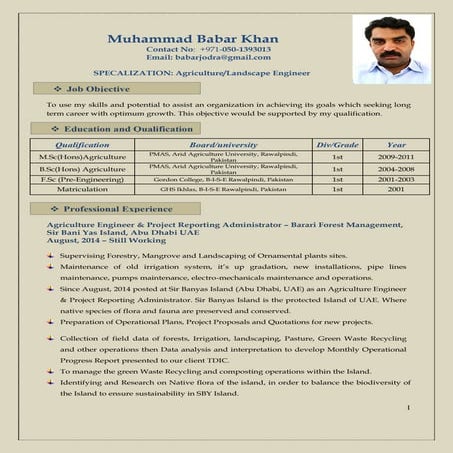 Babar Resume. | PDF