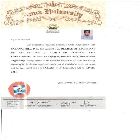 Undergraduate Degree | PDF