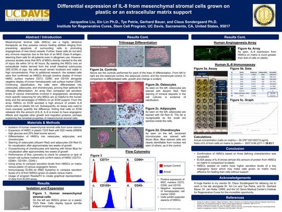 Minimal Criteria for Defining MSC's. The ISCT Position Statement | PDF ...