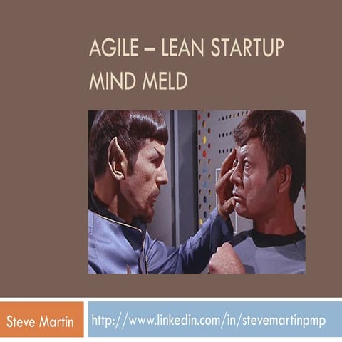 Agile Lean Startup Mind Meld Published Version | PDF