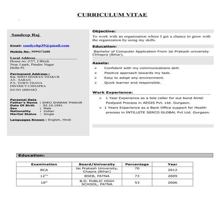 sandy's Resume | DOC