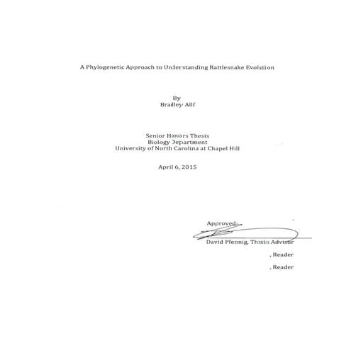 Psychometric evaluation of the Cultural Capacity Scale Arabic version ...