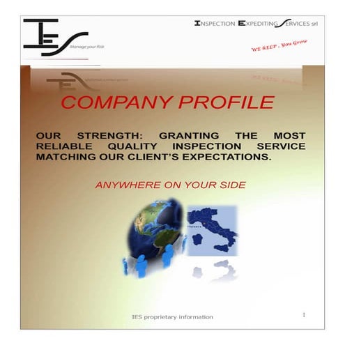 IES srl Company Profile | PDF