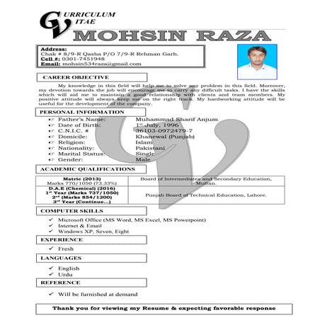 Mohsin Raza CV | DOC | Careers