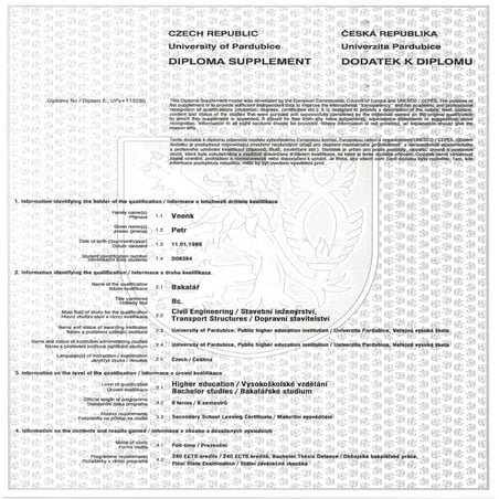 diploma_supplement-ts | PDF