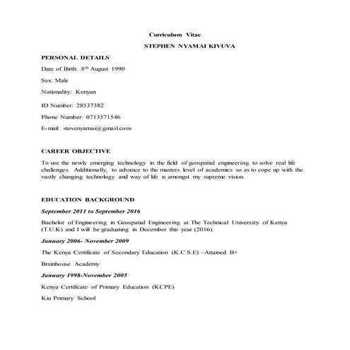 Steve Curriculum Vitae | DOCX