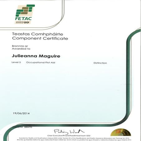 Fetac Occ first aid | PDF