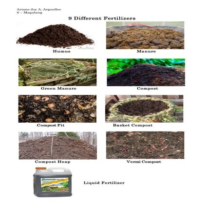 9 different fertilizers | DOCX