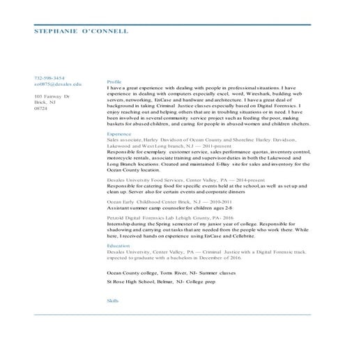 Profession Resume 1 | DOCX | Computing | Technology & Computing