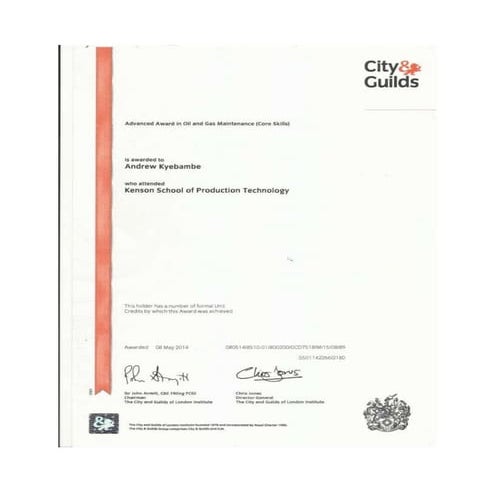 city and guilds certificates | PDF