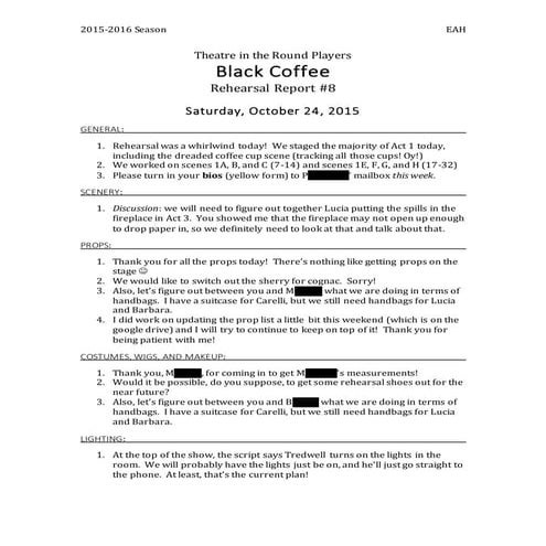 Rehearsal Report Example | DOCX