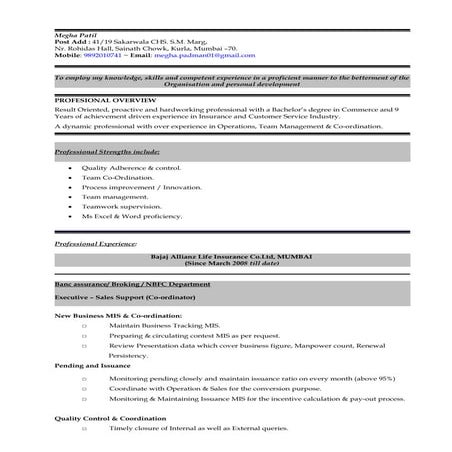 Resume - Megha | DOC