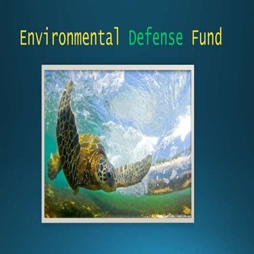 Environmental Defense Fund | PPTX