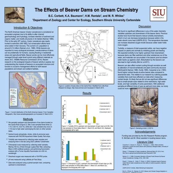 Effects of Beaver Dams on Stream Chemistry (2014)-mrw | PPTX ...