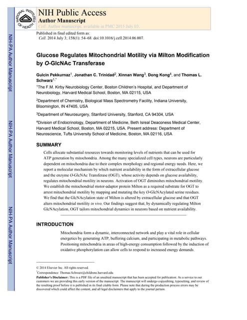 Sugarcane Ash and Sugarcane Ash-Derived Silica Nanoparticles Alter ...