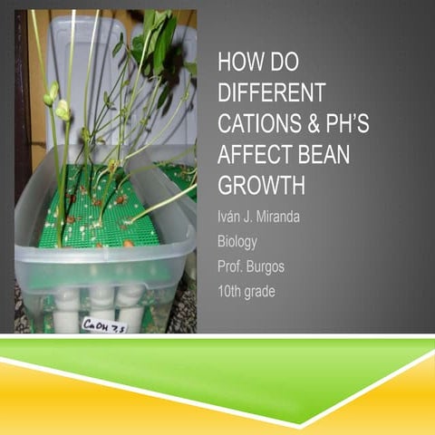 How do different cations & ph’s affect bean | PPTX
