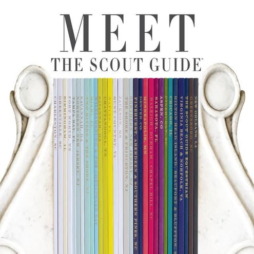 Meet_The_Scout_Guide | PDF