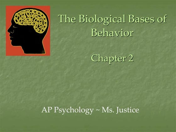 Bernstein_7episode_PowerPoint_Chapter2.pptx | Brain and Nervous System ...
